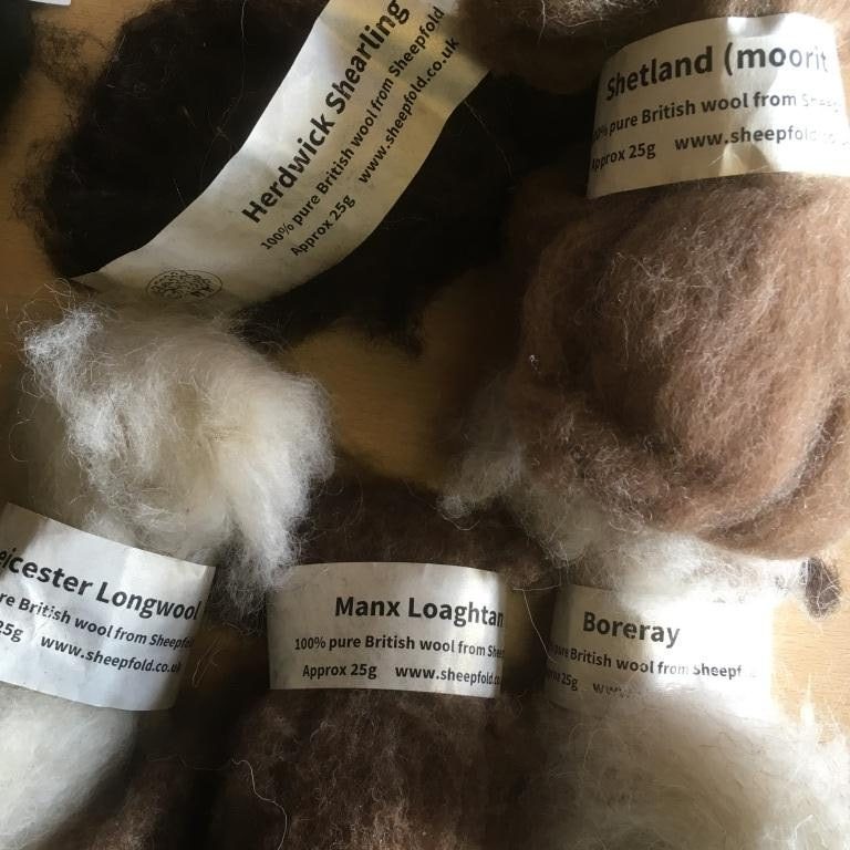 Why I want to move towards using native British breed wool | Threads of ...